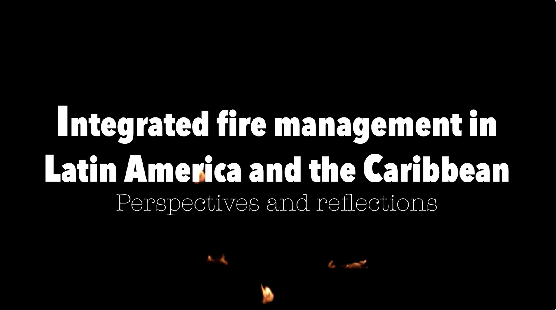 Cobra Collective News | Multiple perspectives on integrated fire ...